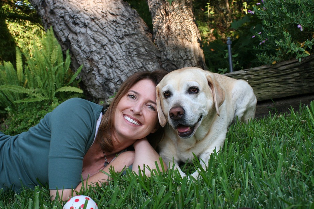 About Me - The Safe Dog